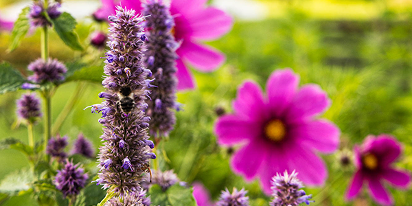 VELUX Group - better living for people. Using daylight and fresh air