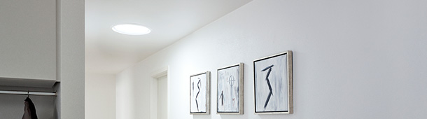 VELUX SkyMax Wide-Span Skylights | VELUX Canada