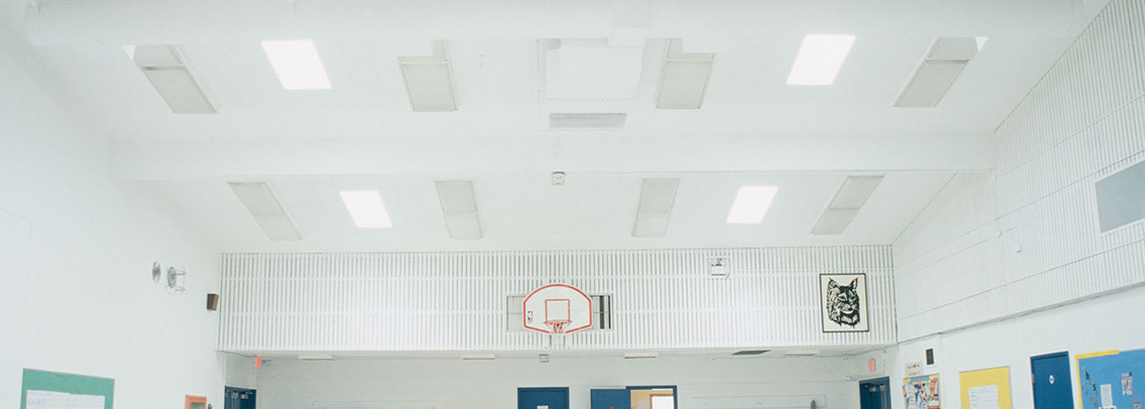 VELUX Hip Ridge and Pyramid Dome Skylights