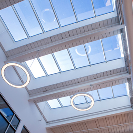 Light Filtering Skylight Shades | VELUX
