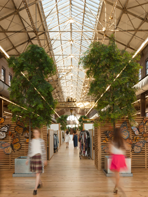 VELUX America | Discover Innovative Skylights, Roof Windows & Sun ...