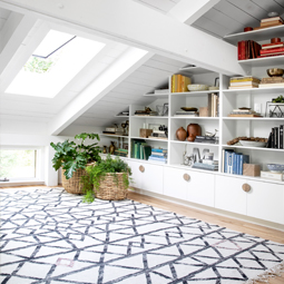 VELUX Roof Window Accessories | Insect Screens | Locks