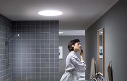 VELUX Modular Skylights